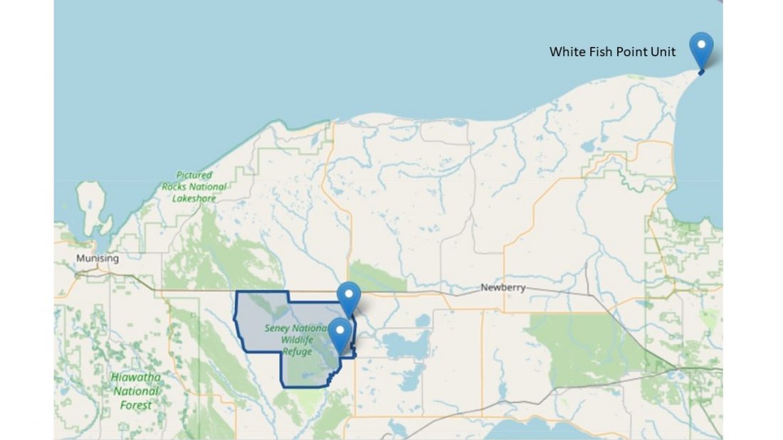 Major projects on tap at Seney National Wildlife Refuge this season ...